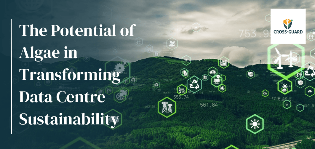 The Potential of Algae in Transforming Data Center Sustainability ...